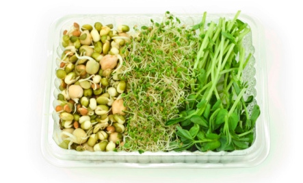 Why Sprout? Health Benefits of Eating Sprouts